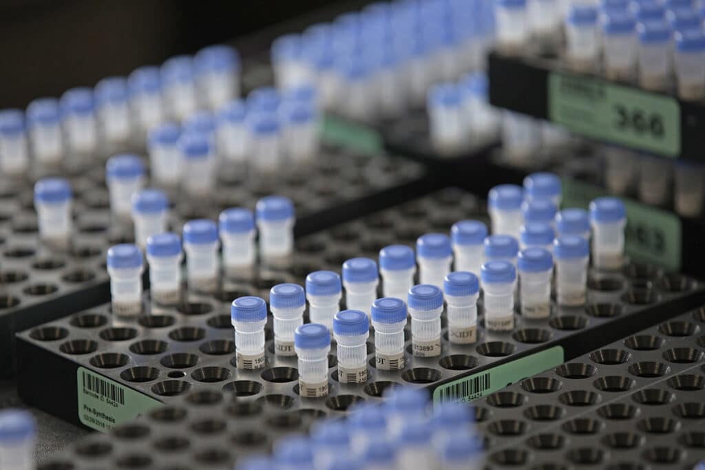 Custom Primers for PCR and qPCR | IDT