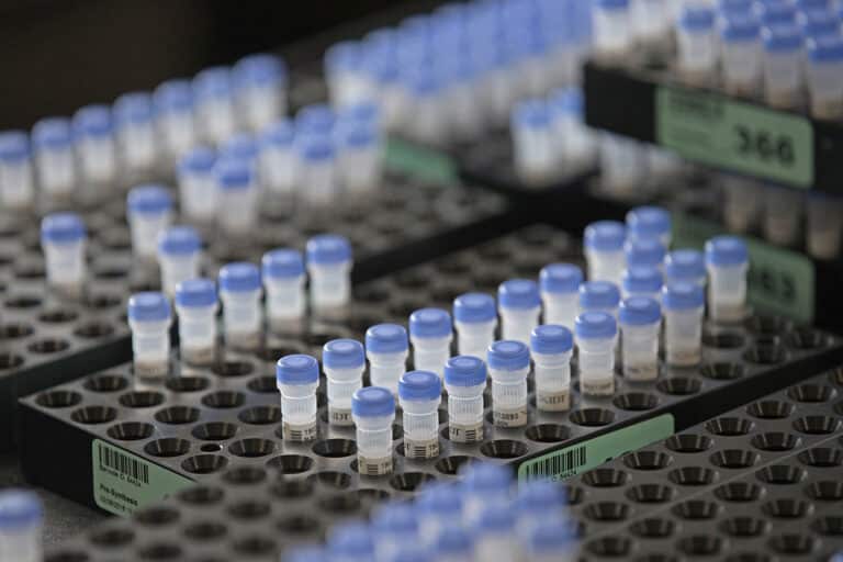 Custom Primers for PCR and qPCR | IDT