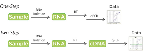 Starting with RNA—one‑step or two‑step RT‑qPCR?